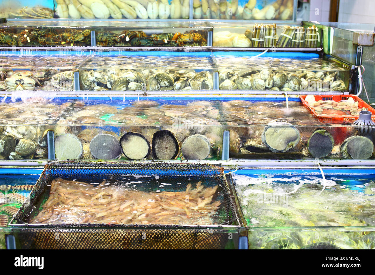 Seafood market fish tank in Hong Kong Stock Photo - Alamy