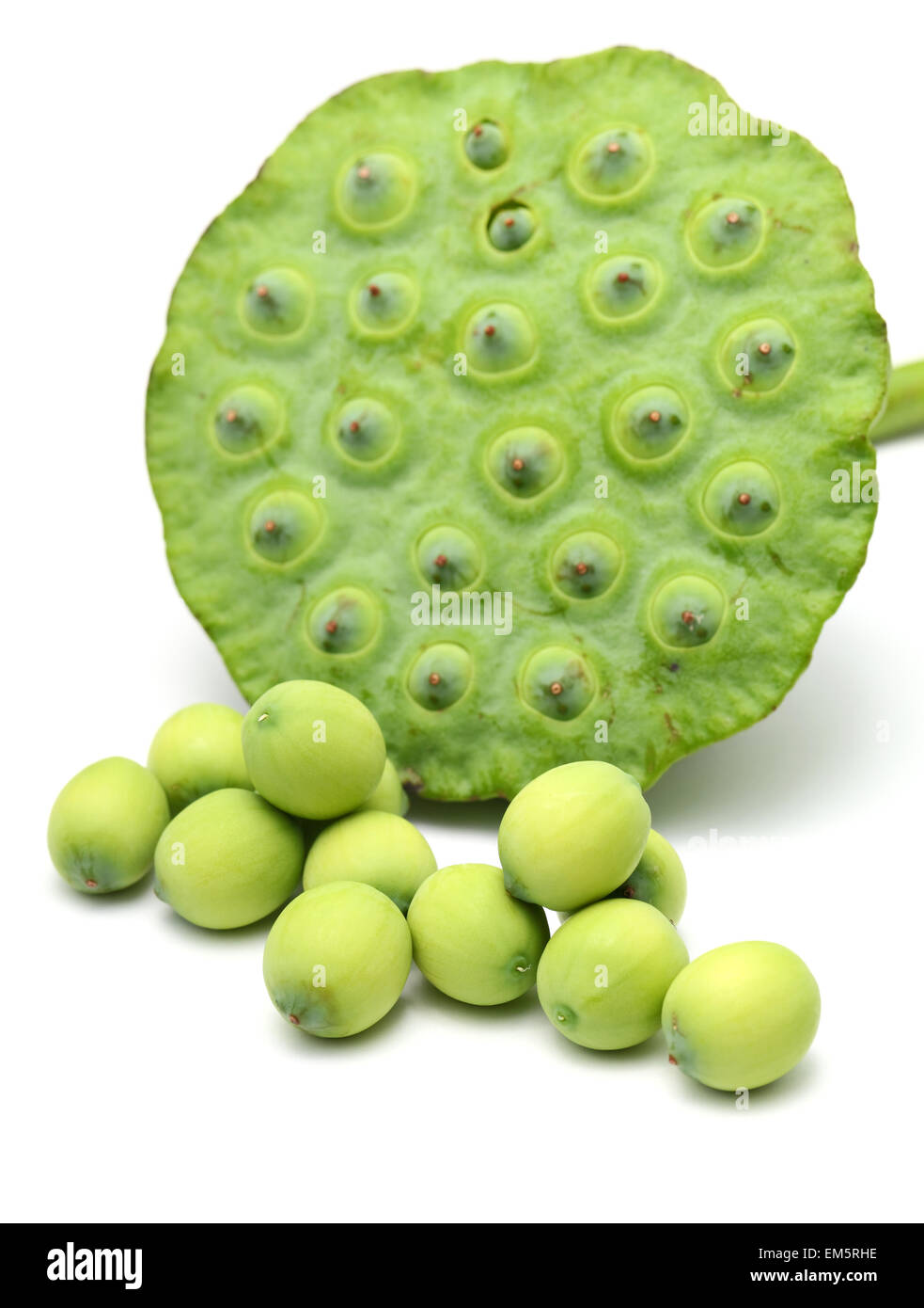 Black seed pod hi-res stock photography and images - Alamy