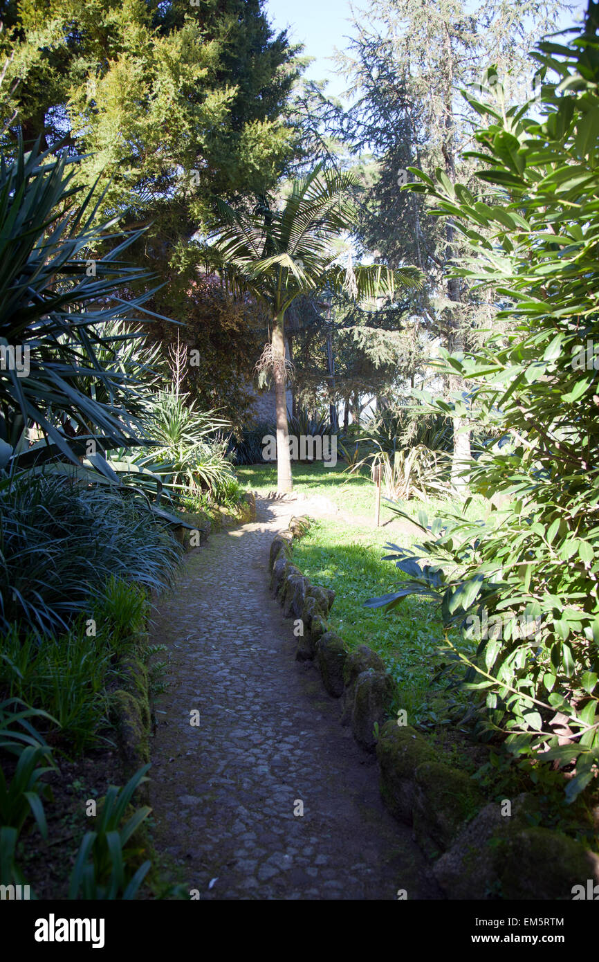 Monserrate Palace Gardens Path - Sintra Portugal Stock Photo - Alamy