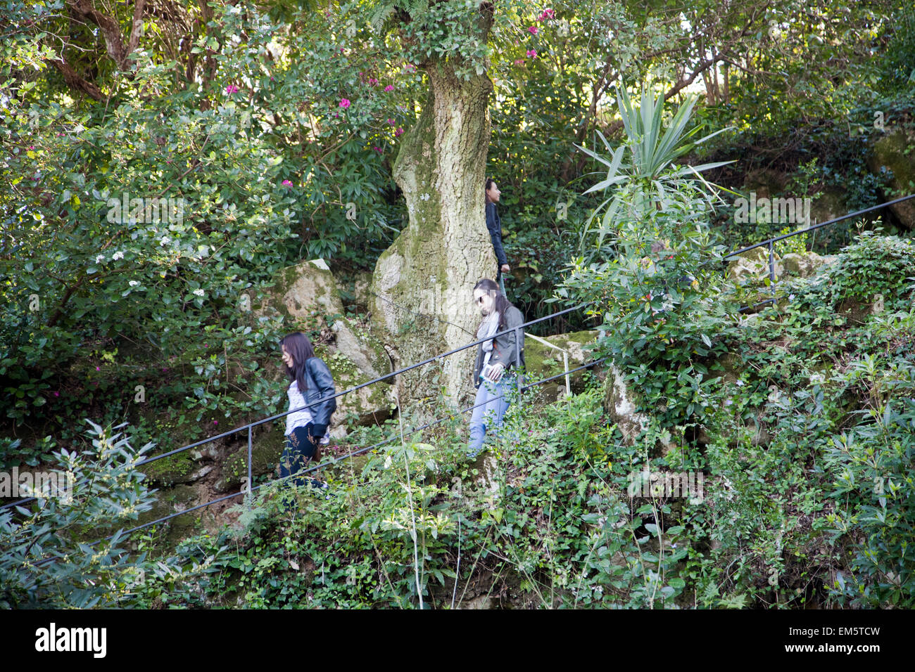 Monserrate Palace Gardens Path - Sintra Portugal Stock Photo - Alamy