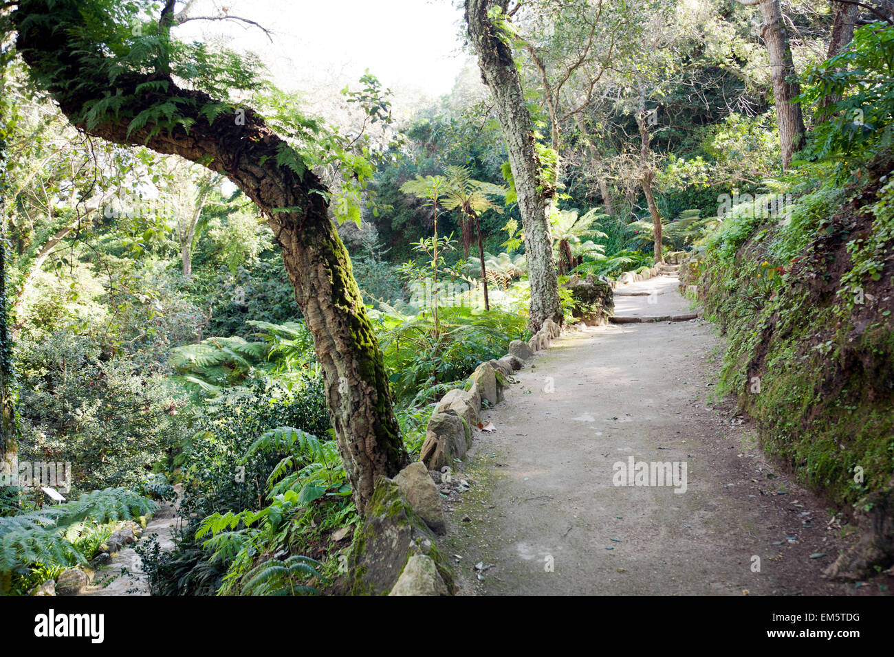 Monserrate Palace Gardens Path - Sintra Portugal Stock Photo - Alamy