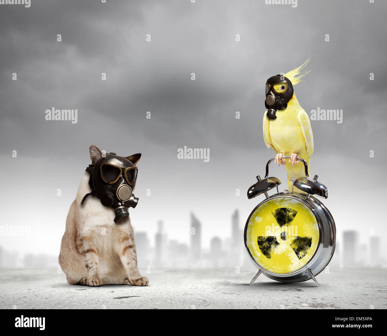 Cat masks hi-res stock photography and images - Alamy