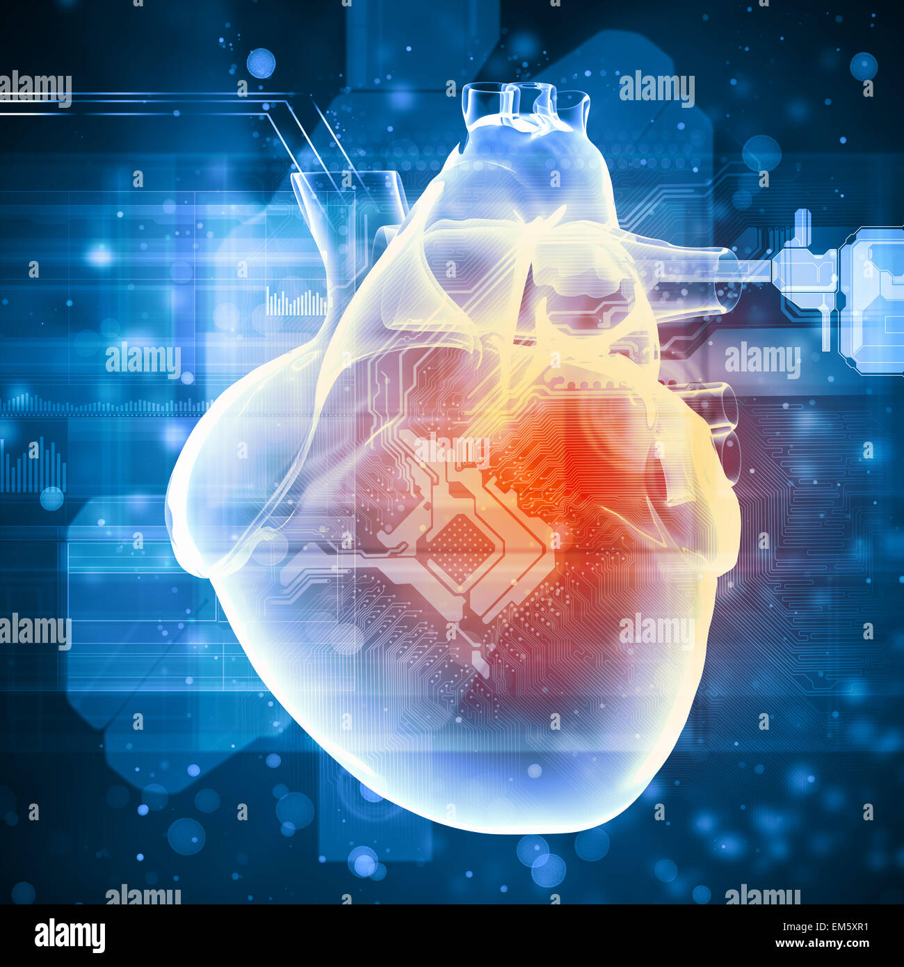 Human heart beats Stock Photo - Alamy