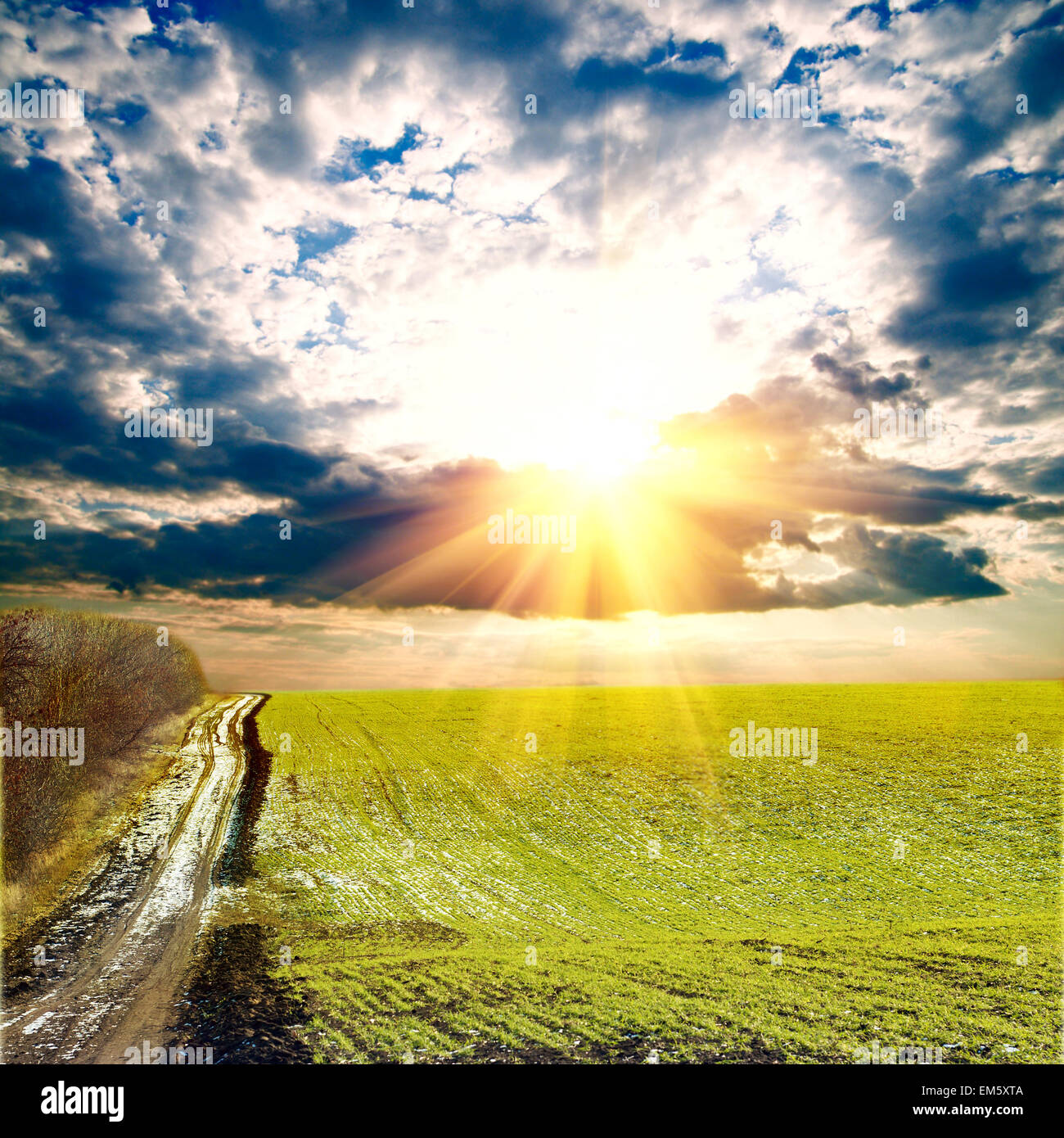 Field path hi-res stock photography and images - Alamy