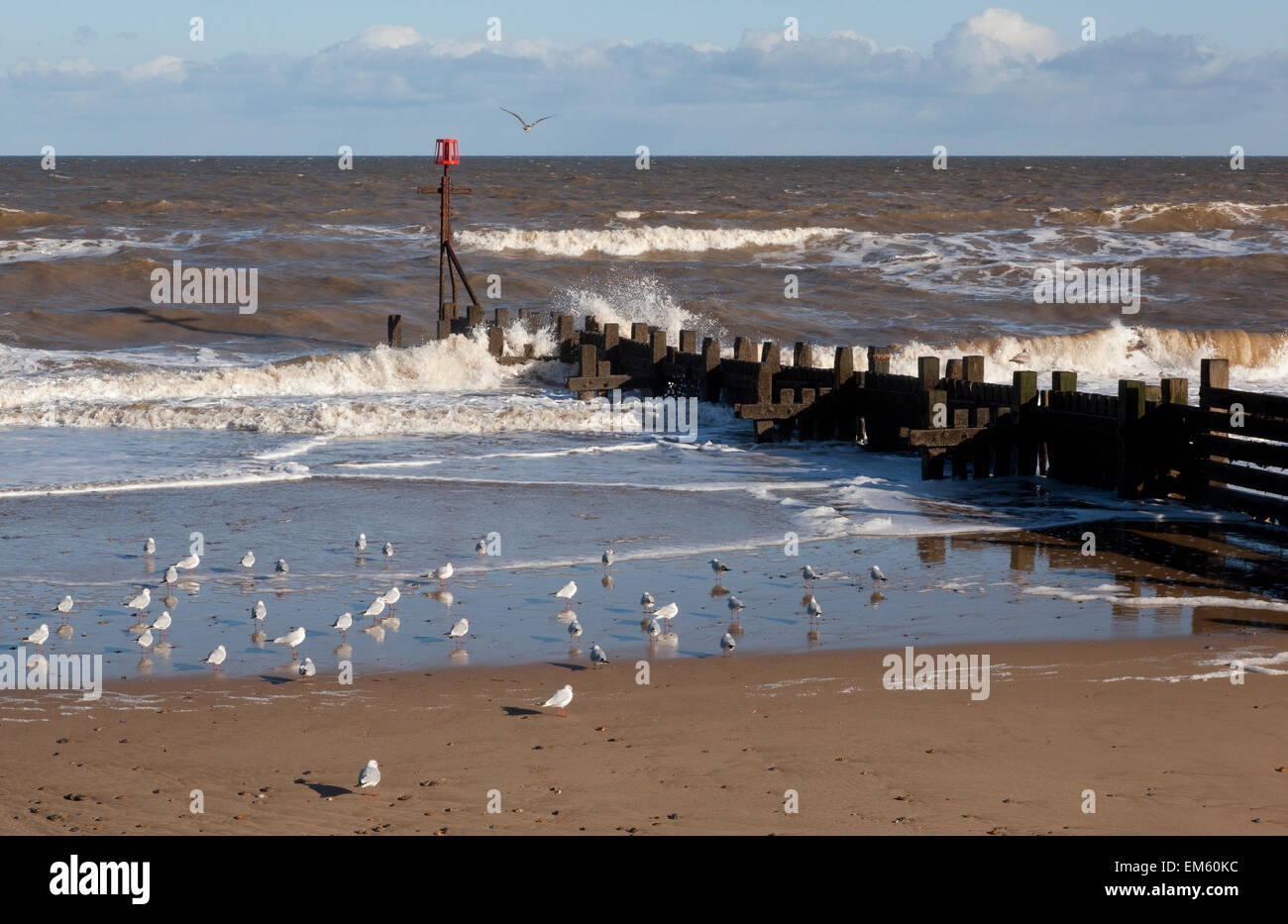 Walcott Beach High Resolution Stock Photography and Images - Alamy