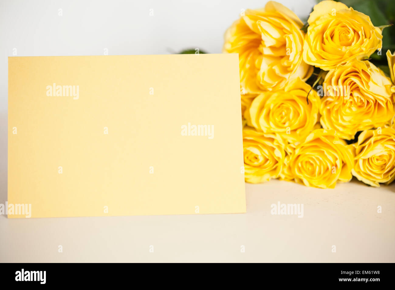 Yellow card text hi-res stock photography and images - Alamy