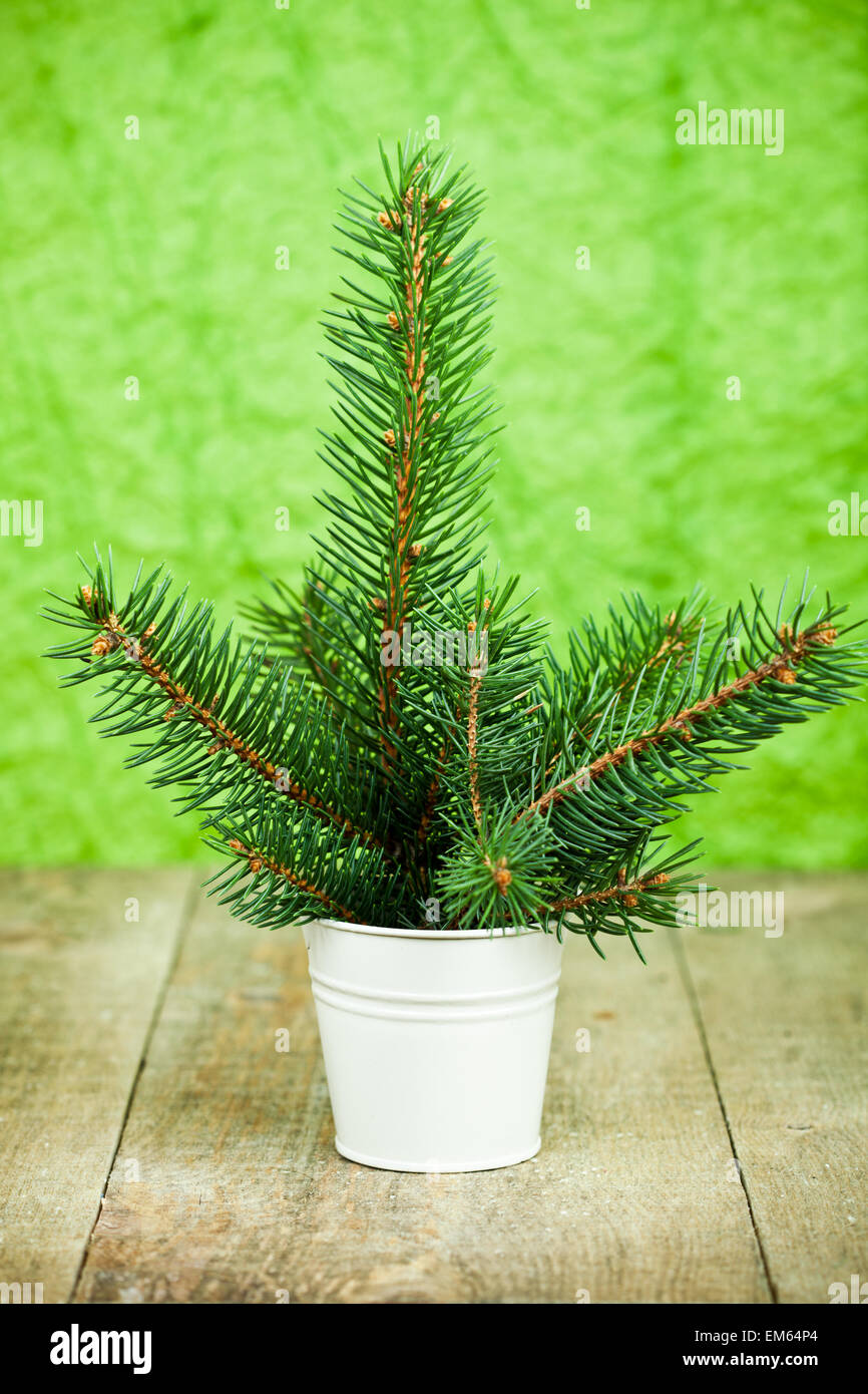Bucket tree hi-res stock photography and images - Alamy