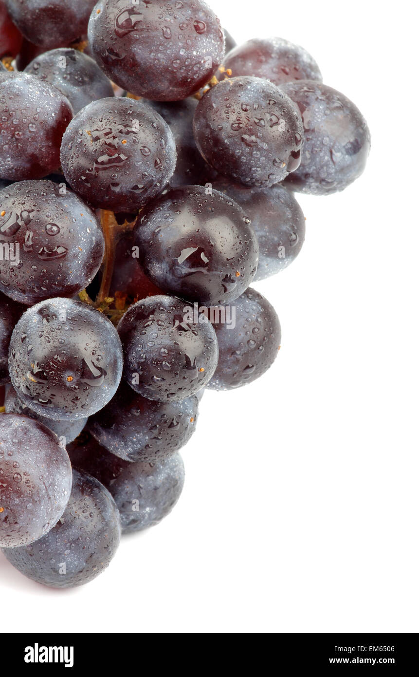 Grape bunch water bowl hi-res stock photography and images - Alamy