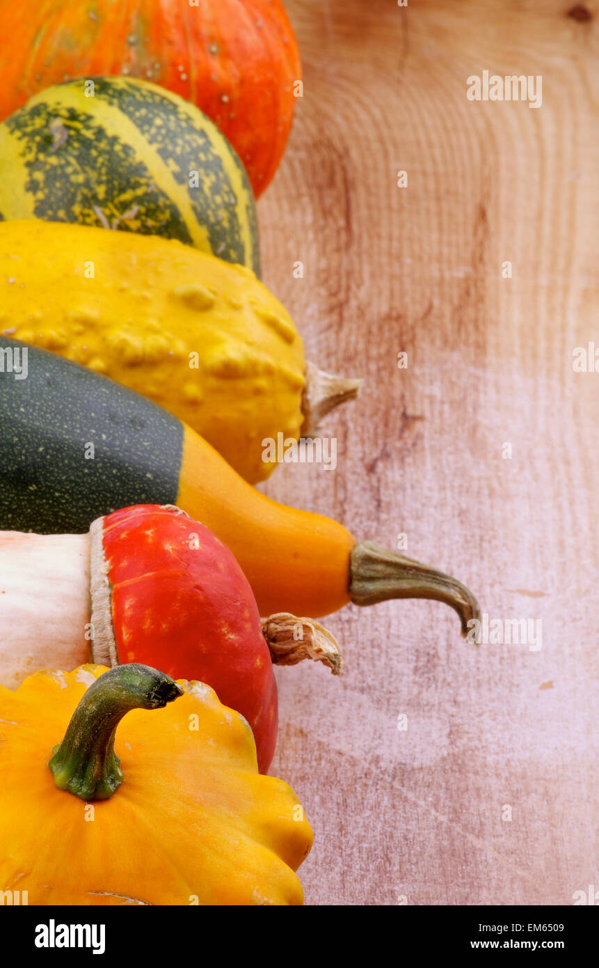 Frame of Squash Stock Photo - Alamy