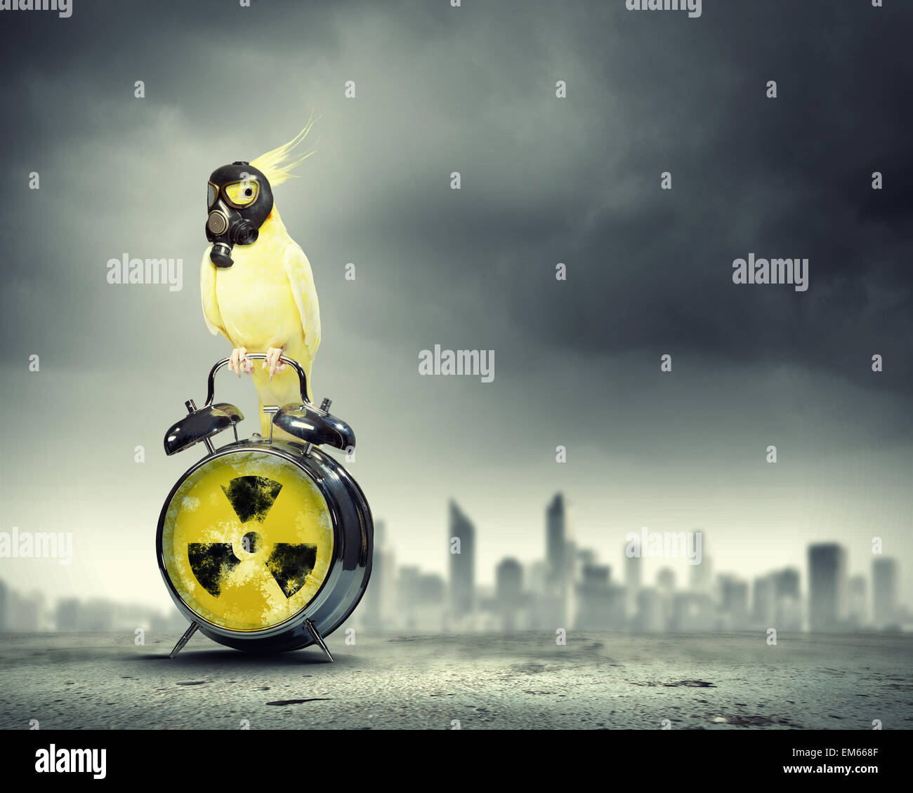 Parrot sitting on alarm clock Stock Photo - Alamy