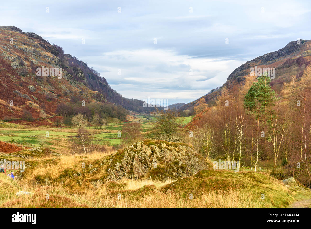 View along Watendlath Beck on the path down to Lodor Falls lookout ...