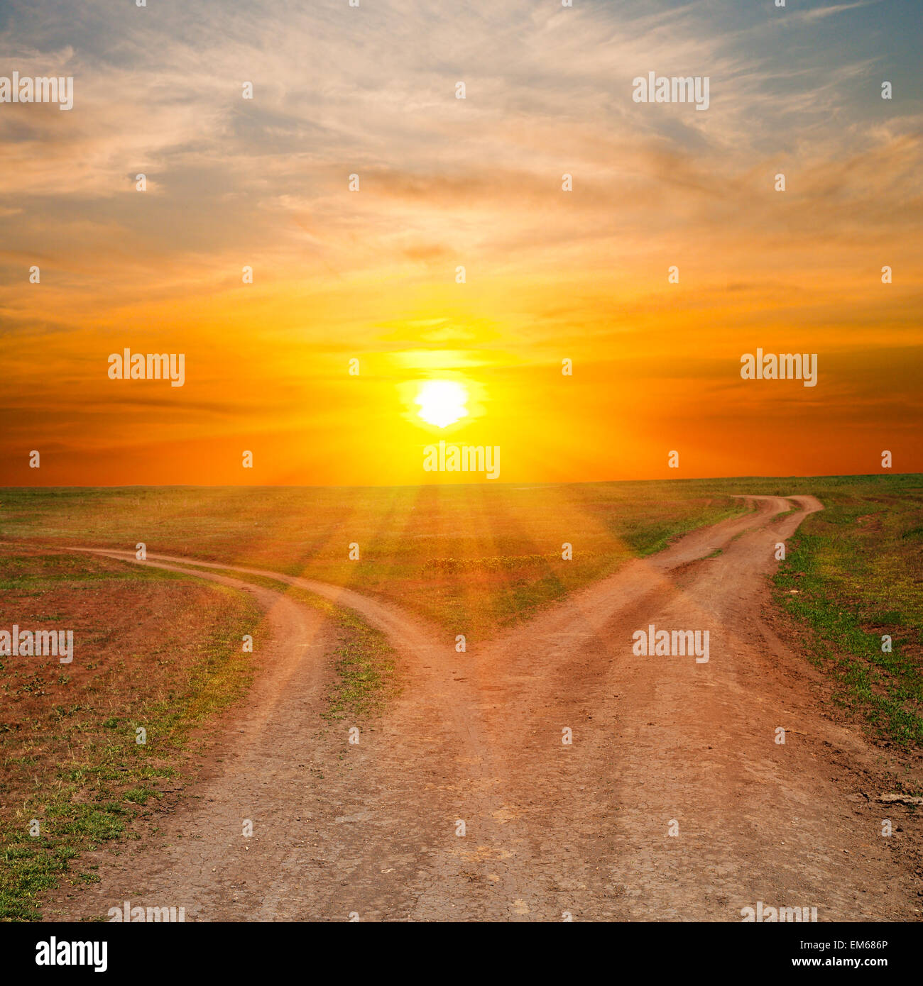 Beautiful sunset sunny summer sunrays hi-res stock photography and ...