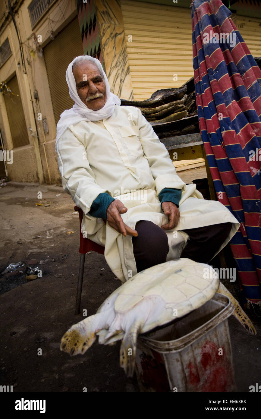 Man with turtle hi-res stock photography and images - Alamy