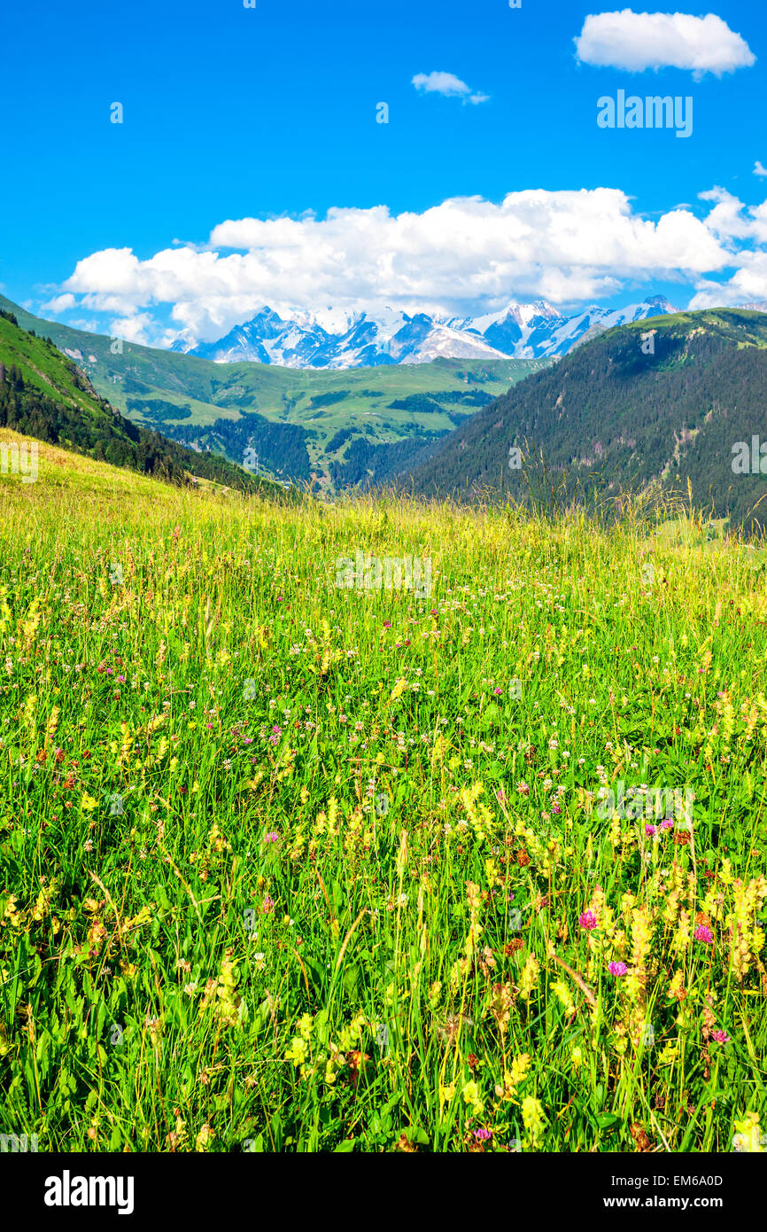 landscape of french Alps Stock Photo - Alamy
