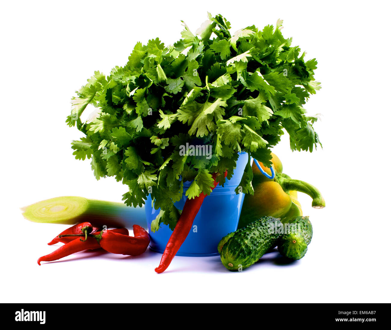 Salad vegetable arrangement in Cut Out Stock Images & Pictures - Alamy