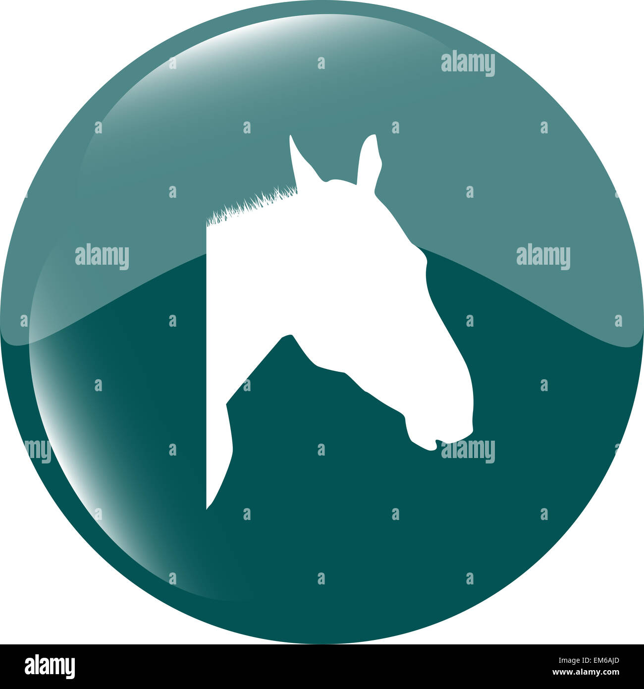 horse sign button, web app icon Stock Photo - Alamy