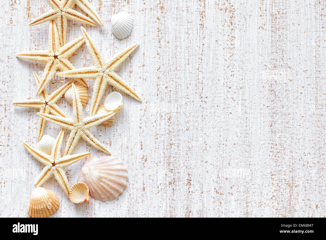 Vintage wallpaper seashell card hi-res stock photography and images - Alamy