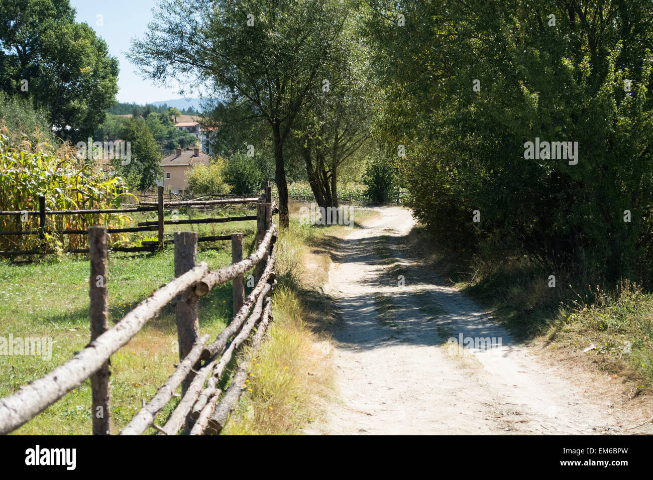 Shadow nature hi-res stock photography and images - Alamy