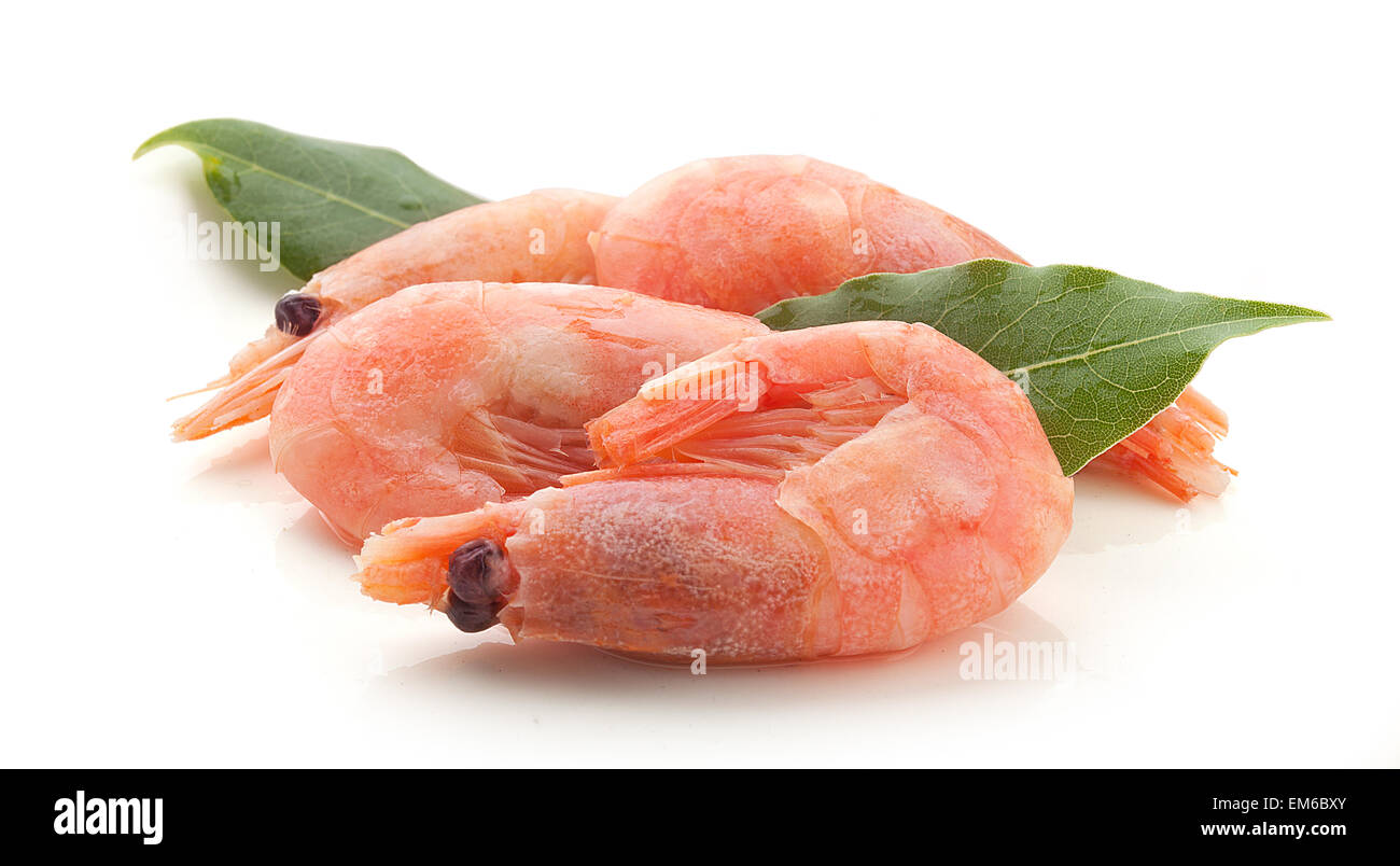 Bay small Cut Out Stock Images & Pictures - Alamy