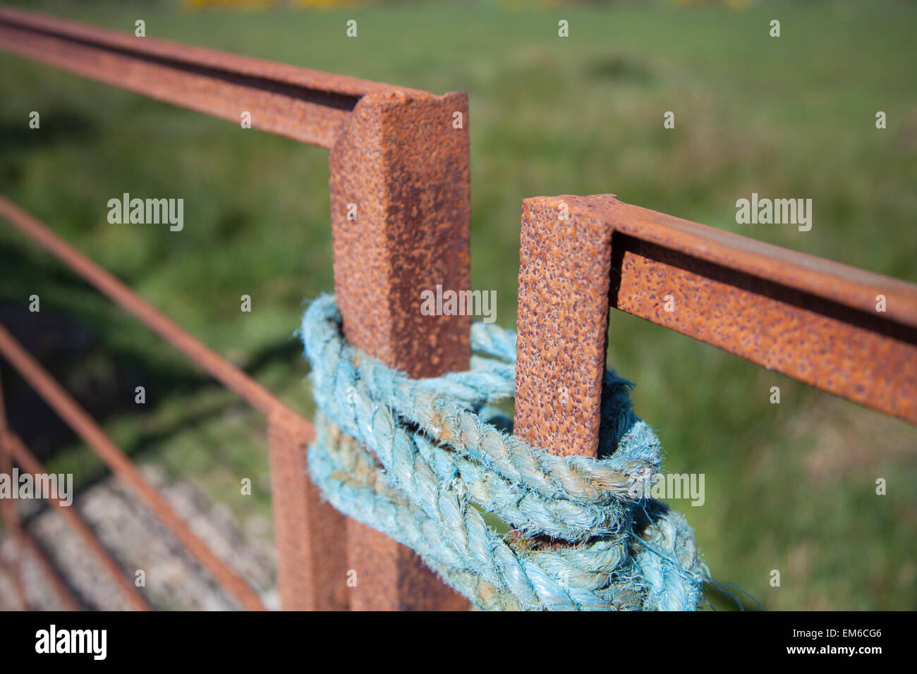 close-up creative shot of a pitted rusty farm gate tied shut with blue ...