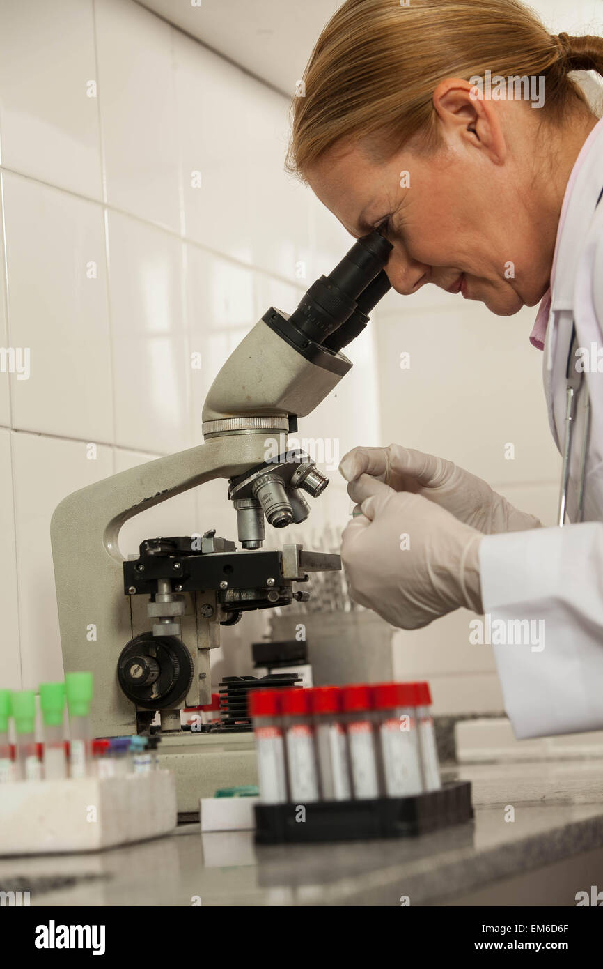 scientist woman in the laboratory Stock Photo - Alamy
