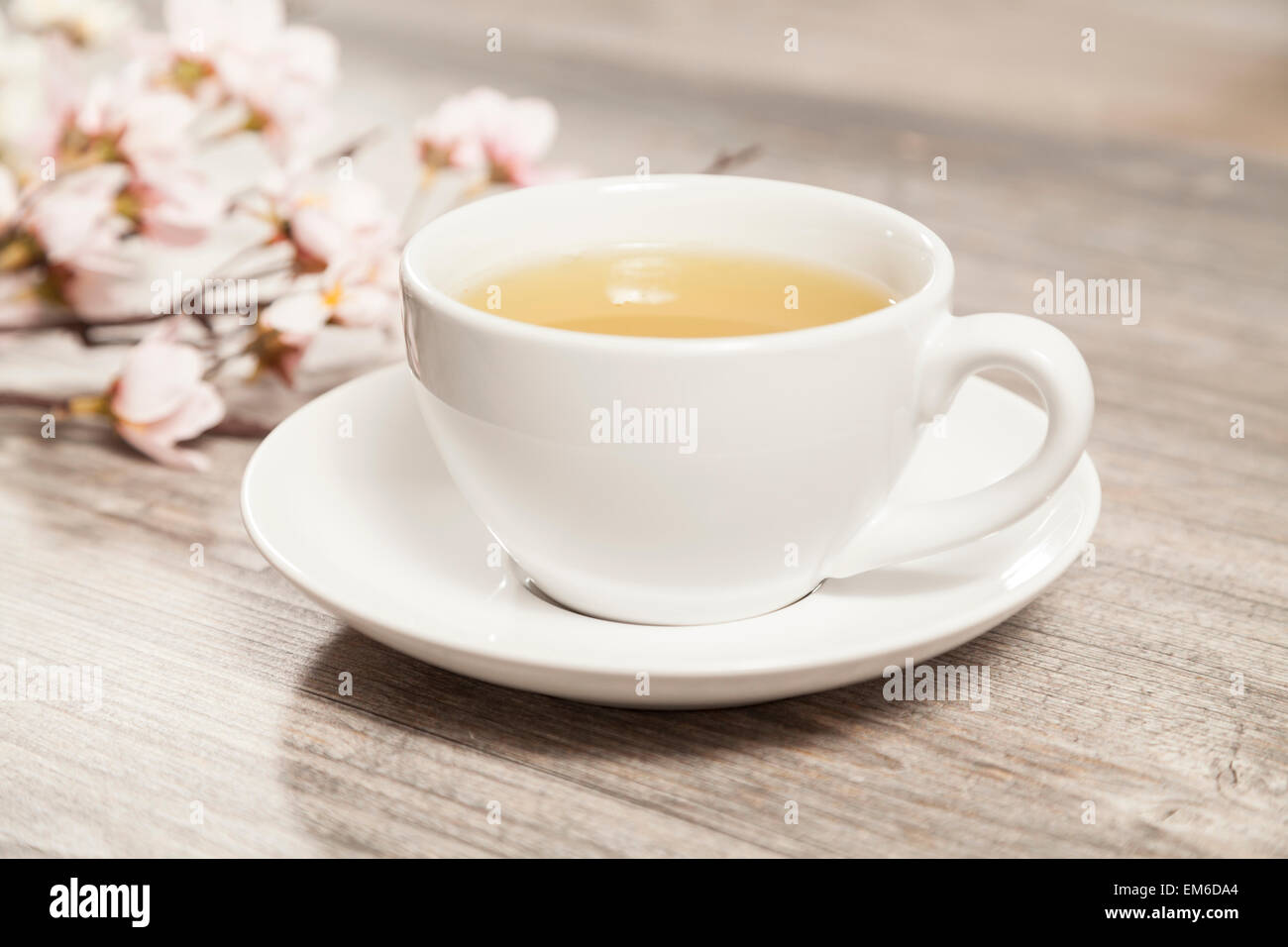 Green tea tea hi-res stock photography and images - Alamy