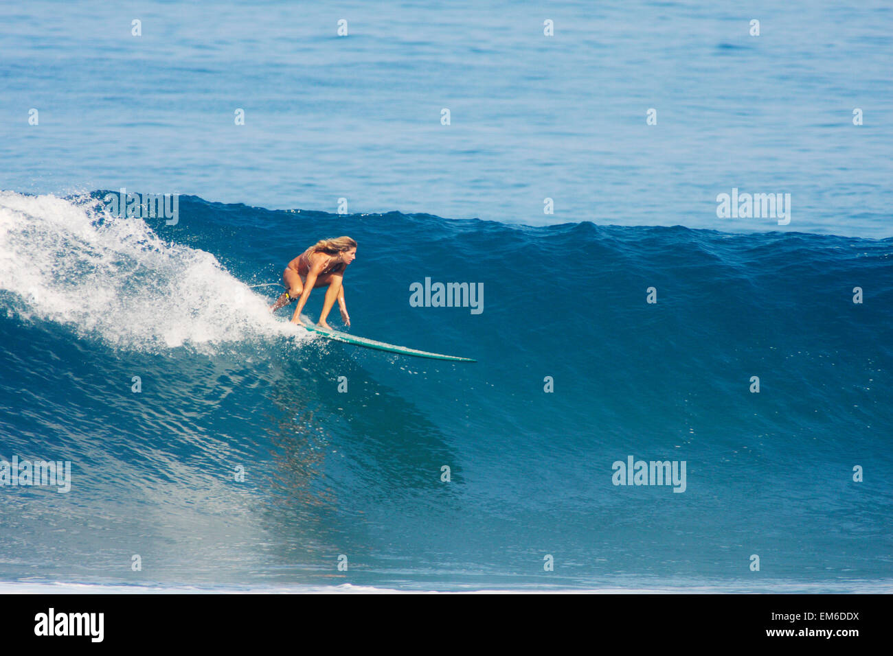 Hawaii, Oahu, North Shore, Pipeline, Surfer, Riding A Wave Stock Photo ...
