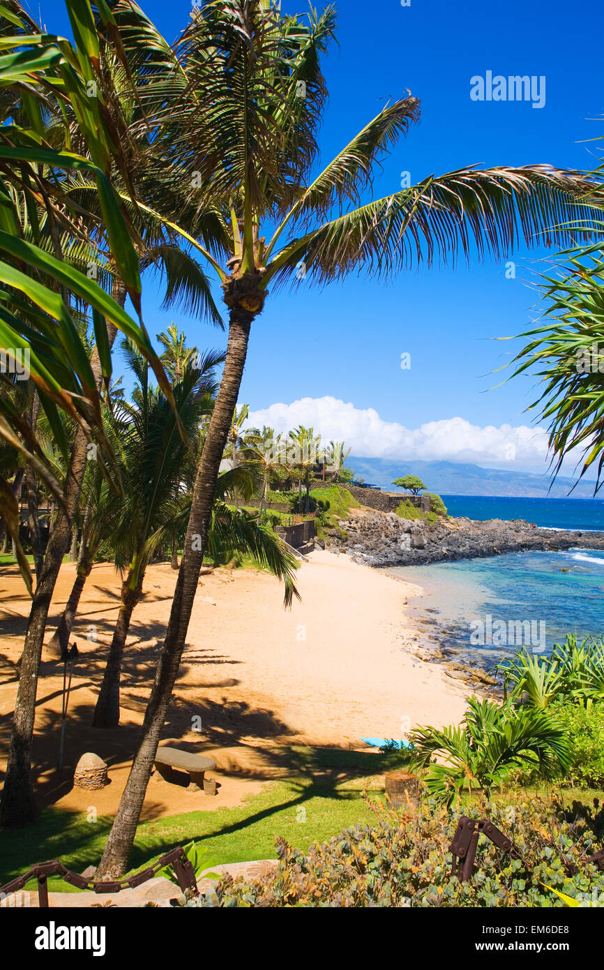 Hawaii, Maui, Northern Coast, Overlooking Kuau Cove From Mama's Fish ...
