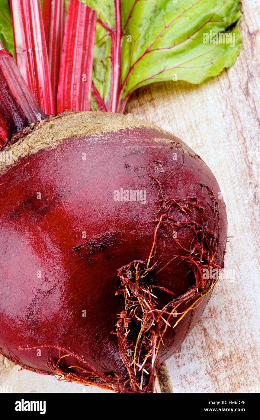 Beetroot cross section hi-res stock photography and images - Alamy