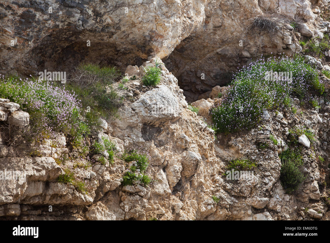 Golgotha hi-res stock photography and images - Alamy