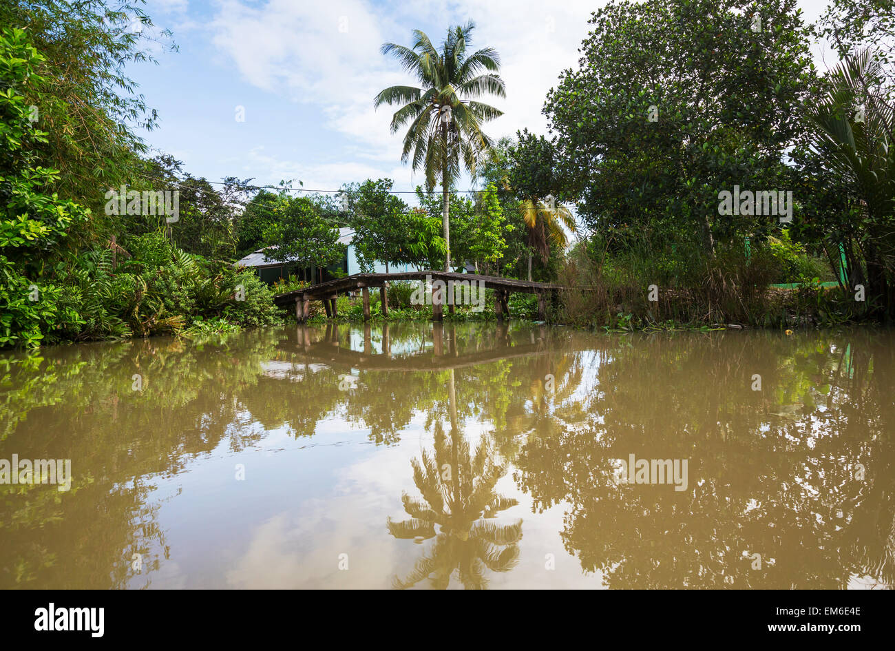 Vietnamese streams hi-res stock photography and images - Alamy