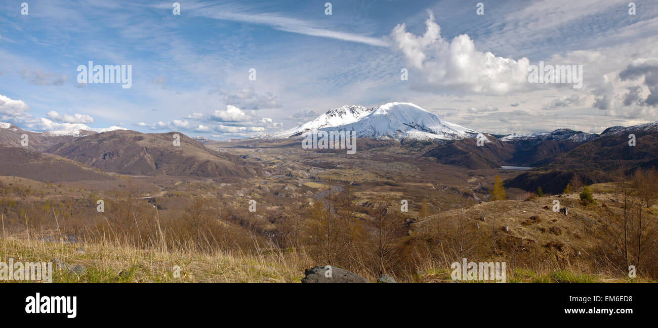 Helen washington hi-res stock photography and images - Alamy