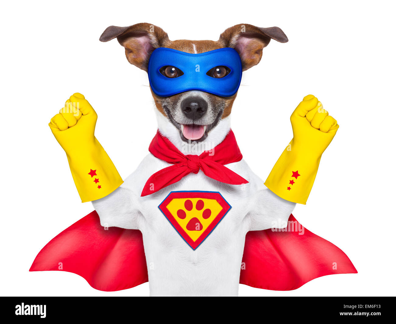 super hero dog Stock Photo - Alamy