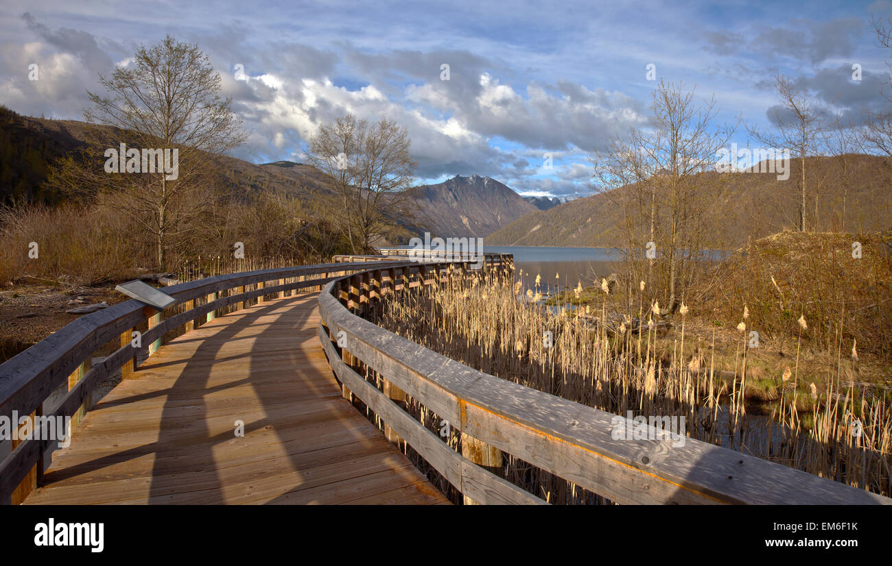 Path to the lake near mt. St. Helen's forest and brushes Stock Photo ...