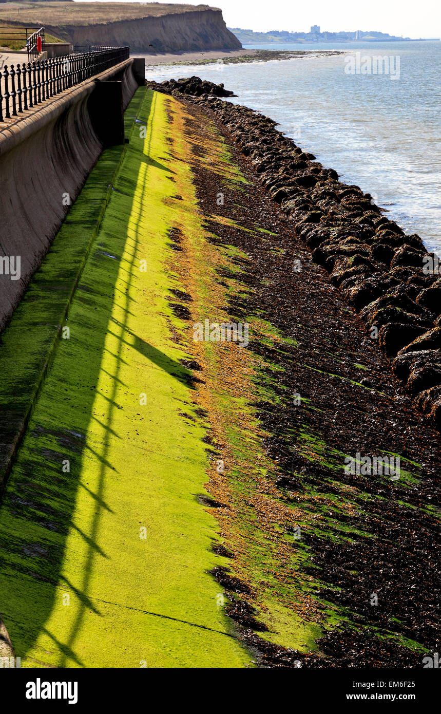 RS 2175. Reculver Country Park, Sea Wall, Kent, England Stock Photo - Alamy