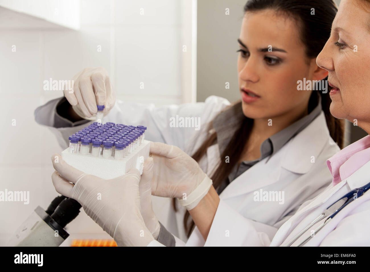 Two scientist women in the laboratory Stock Photo - Alamy