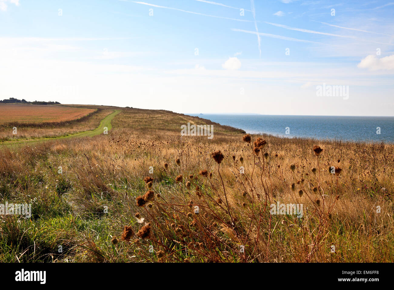 Reculver country park hi-res stock photography and images - Alamy