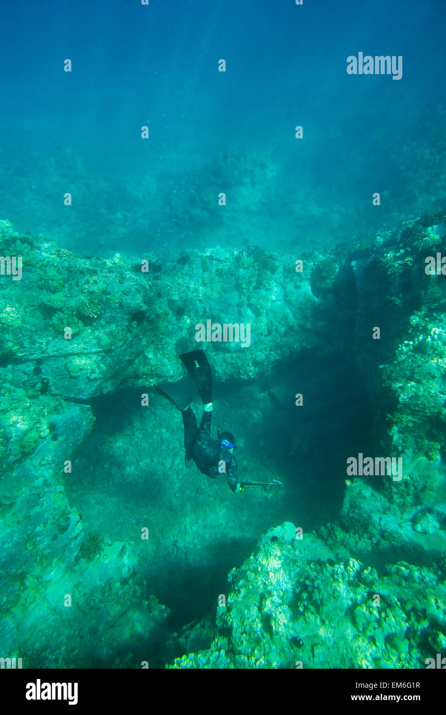 Hawaii, Maui, Makena, Spearfisher Diving Into Hole In Reef Stock Photo ...