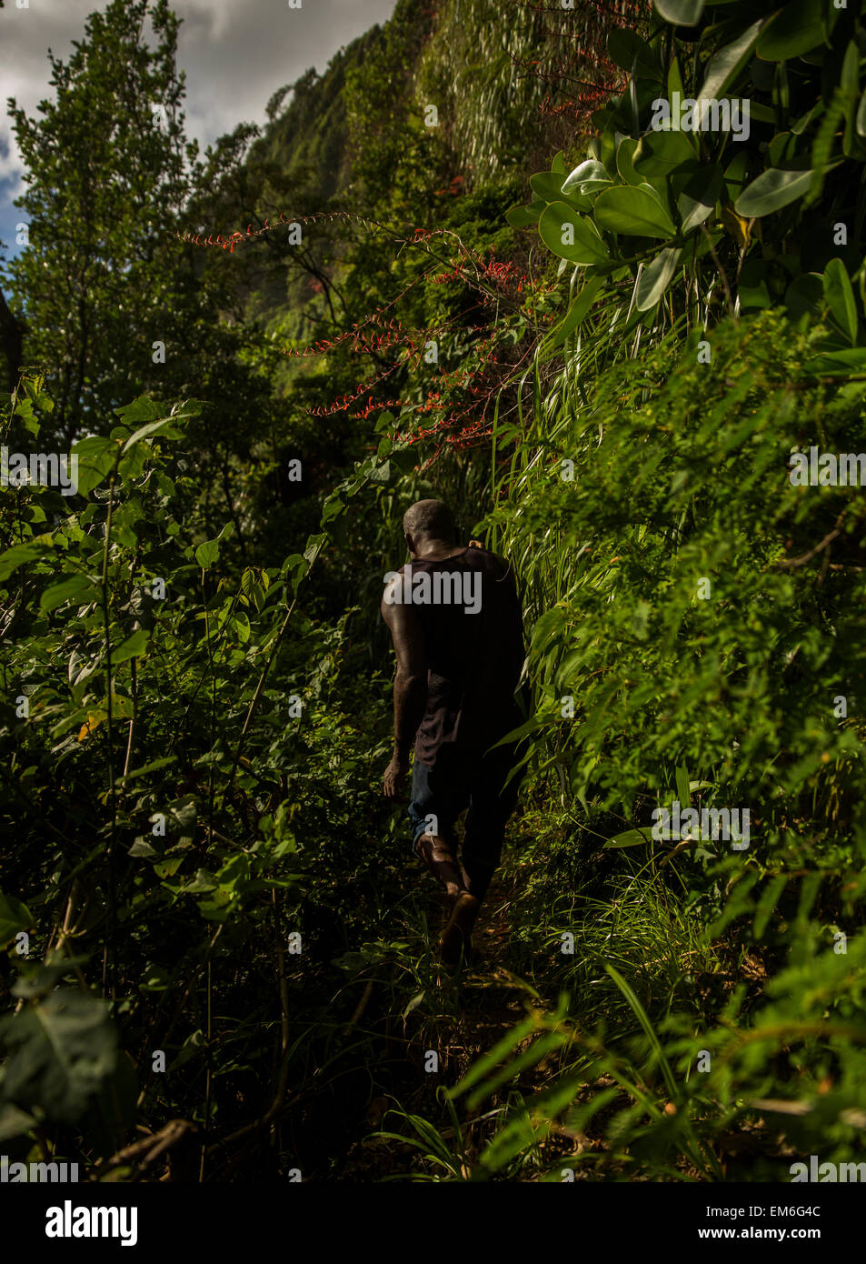 Dominica people hi-res stock photography and images - Alamy