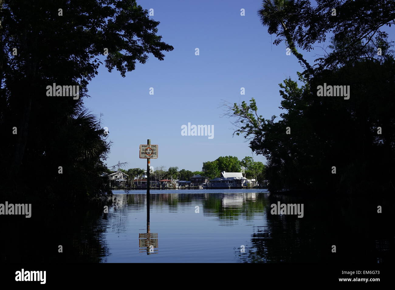 View from a canal leading to the Homosassa River, Florida Stock Photo ...