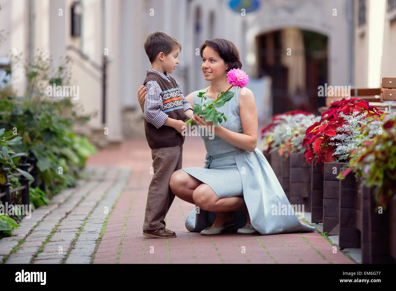 Little boy giving flower to his mom Stock Photo - Alamy