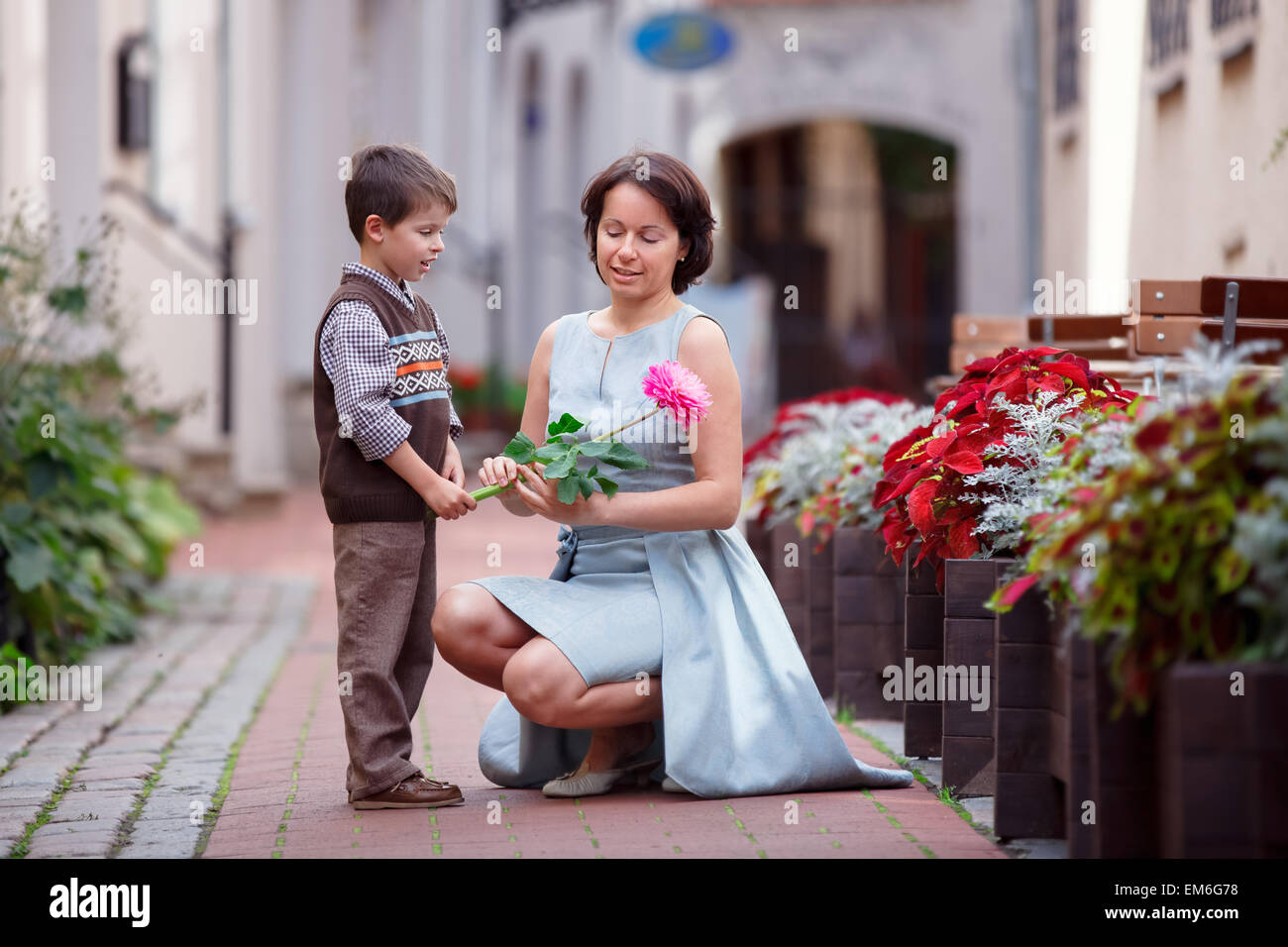 Little boy giving flower to his mom Stock Photo - Alamy