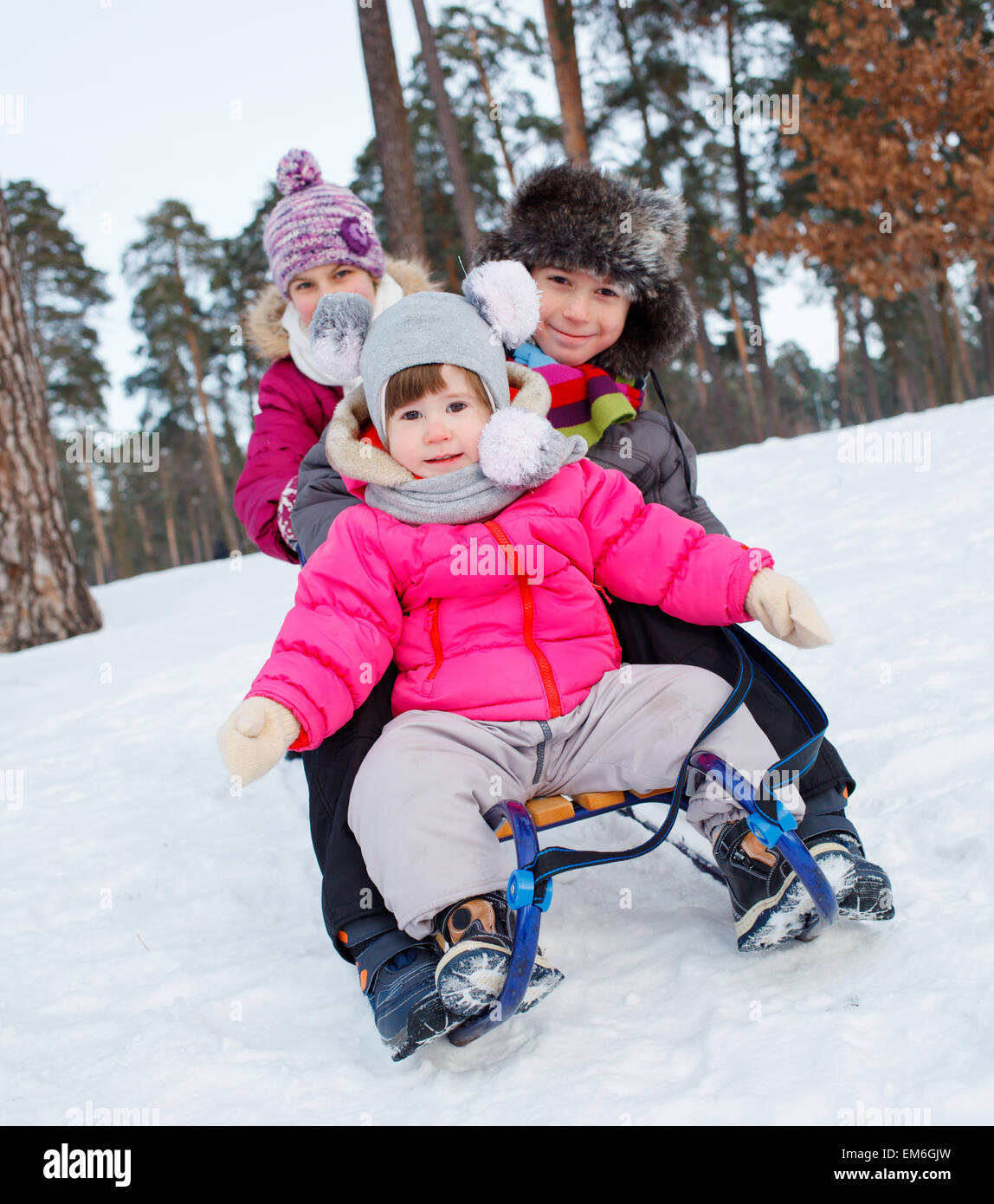 Children on sleds in snow Stock Photo - Alamy