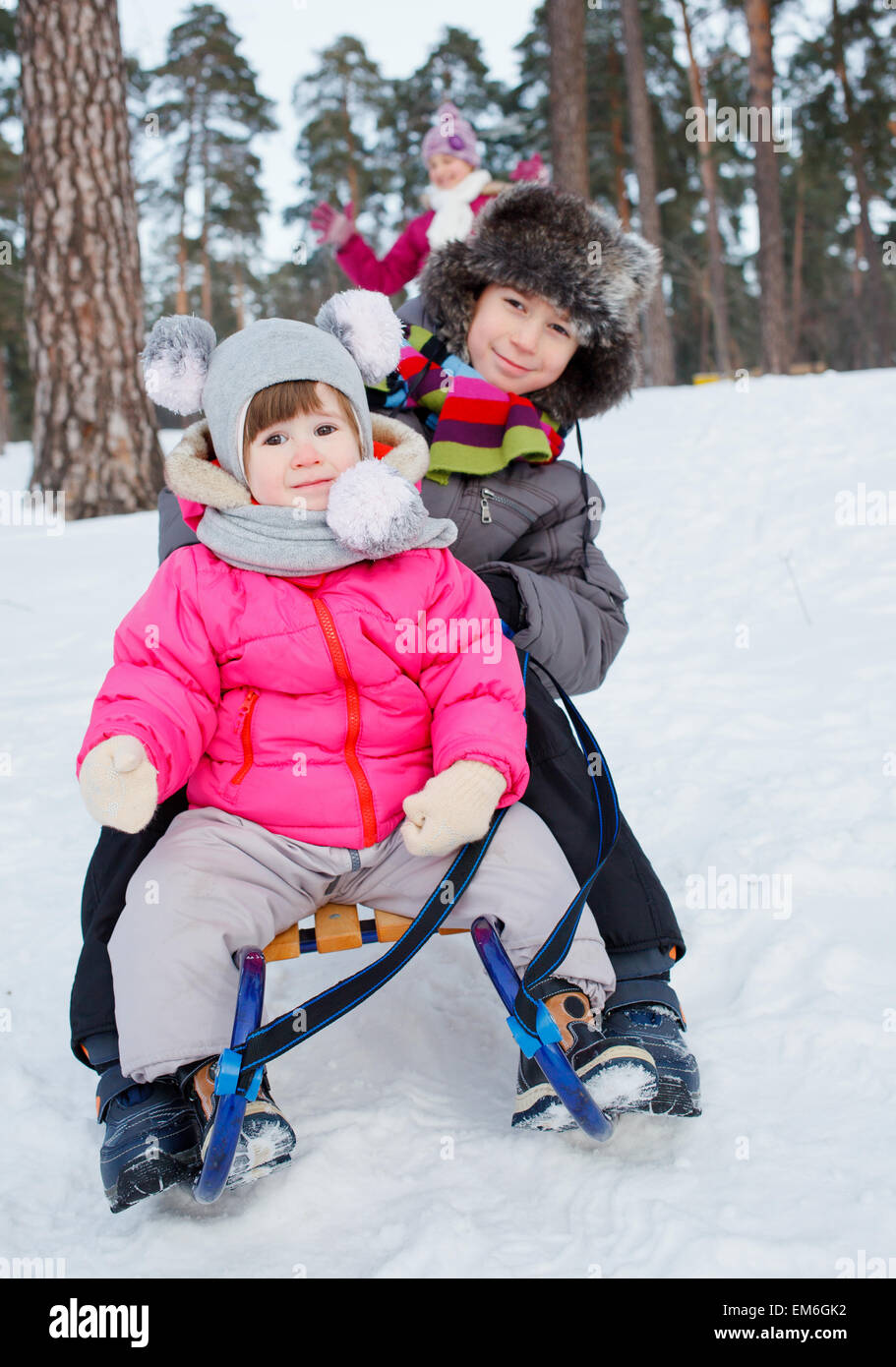 Children on sleds in snow Stock Photo - Alamy