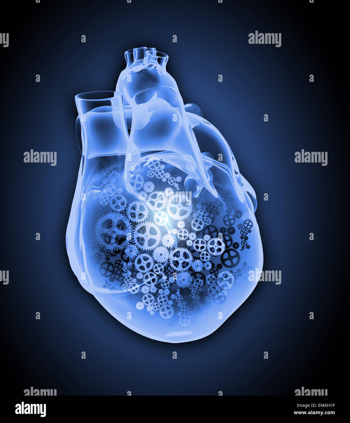 Surface human heart hi-res stock photography and images - Alamy