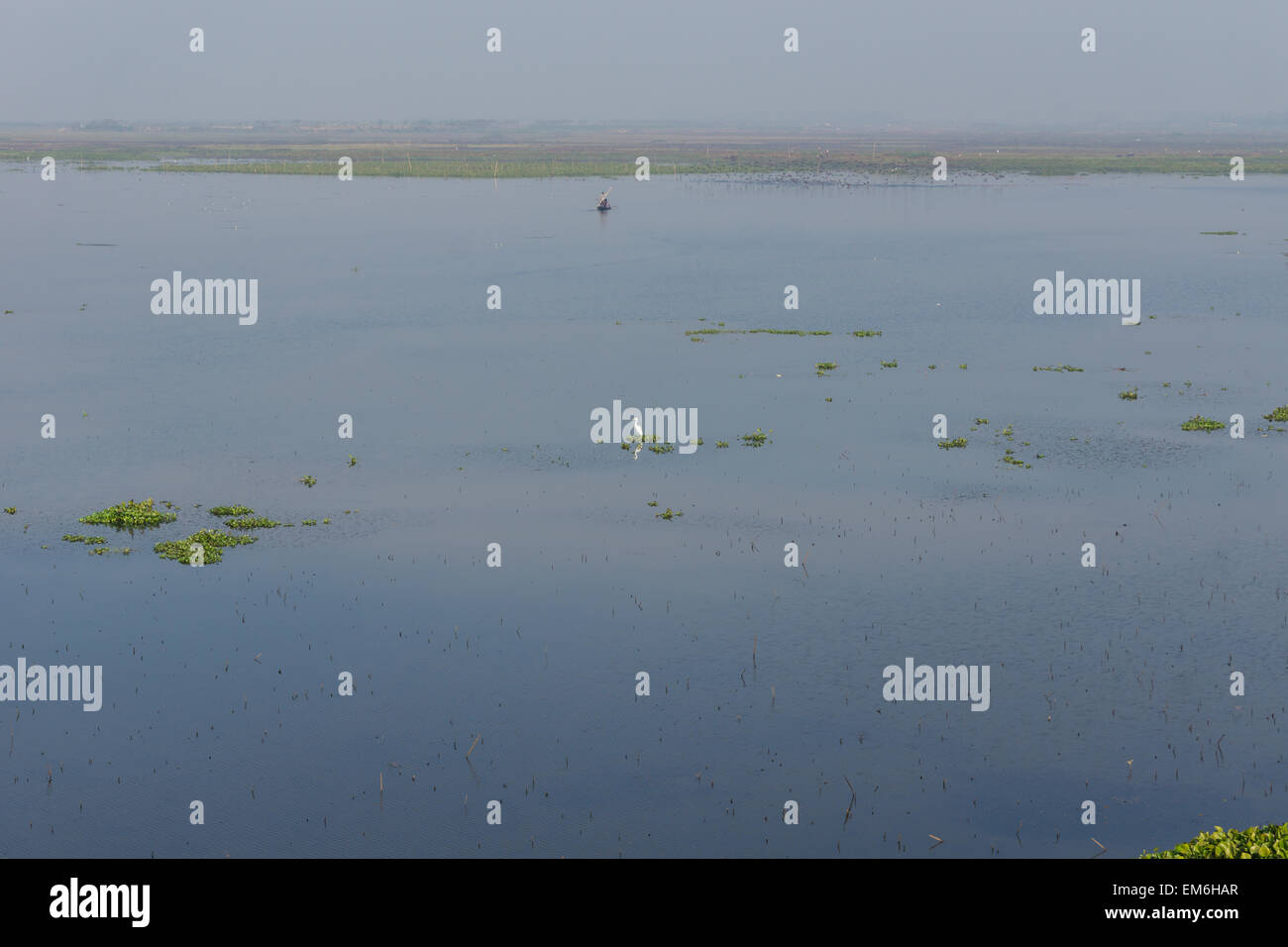 Bird nature reserve in Bangladesh Stock Photo - Alamy