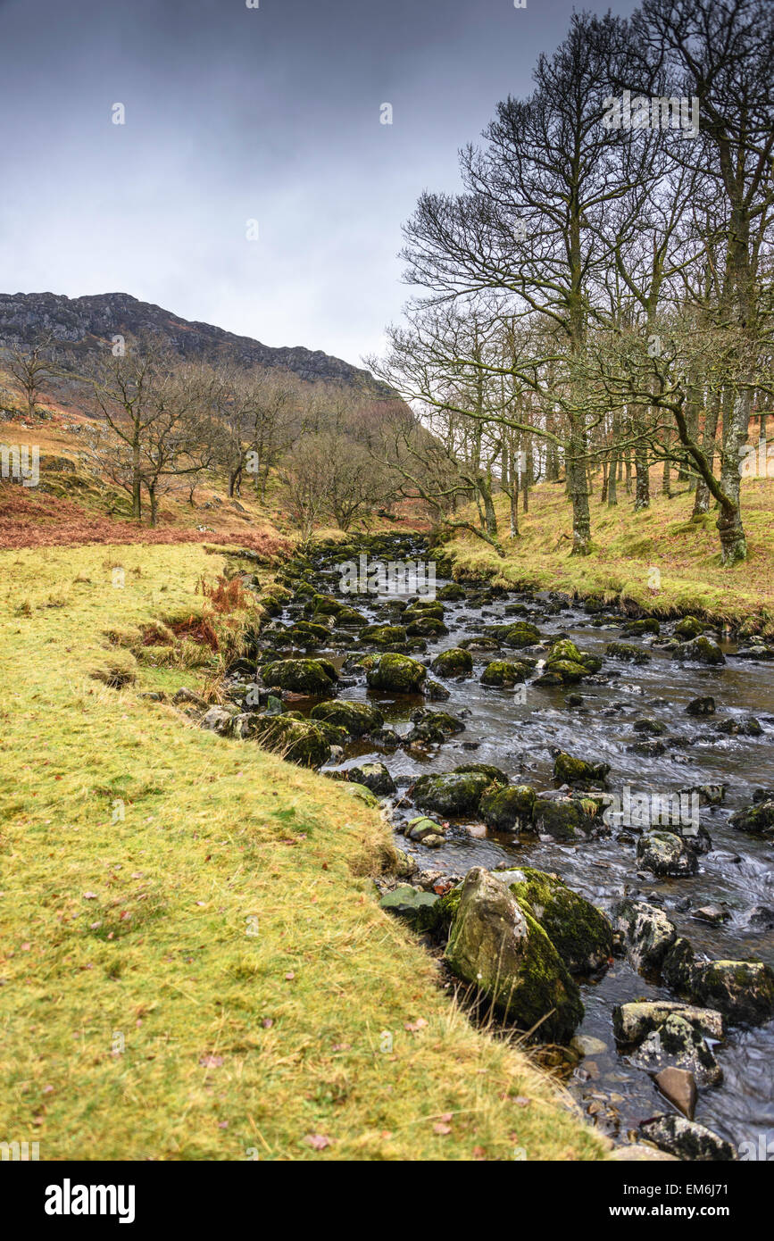 View along Watendlath Beck on the path down to Lodor Falls lookout ...