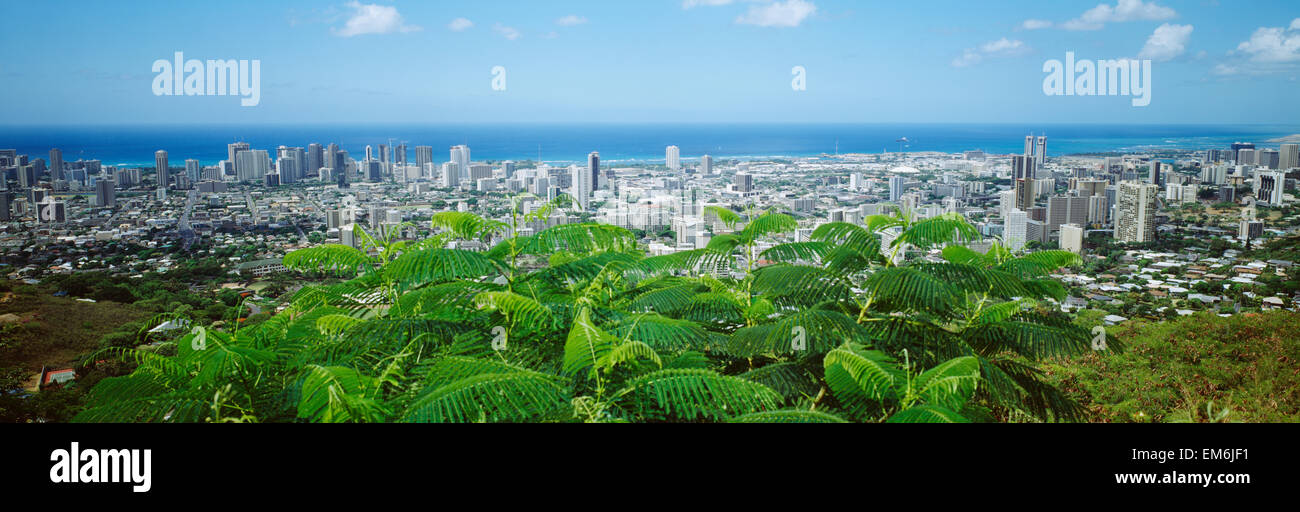 USA, Hawaii, Oahu, Panoramic View Of City Buildings And Greenery From ...