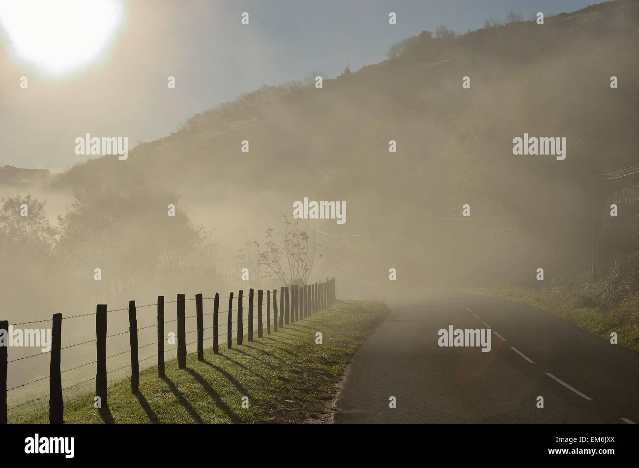Sun in fog road hi-res stock photography and images - Alamy