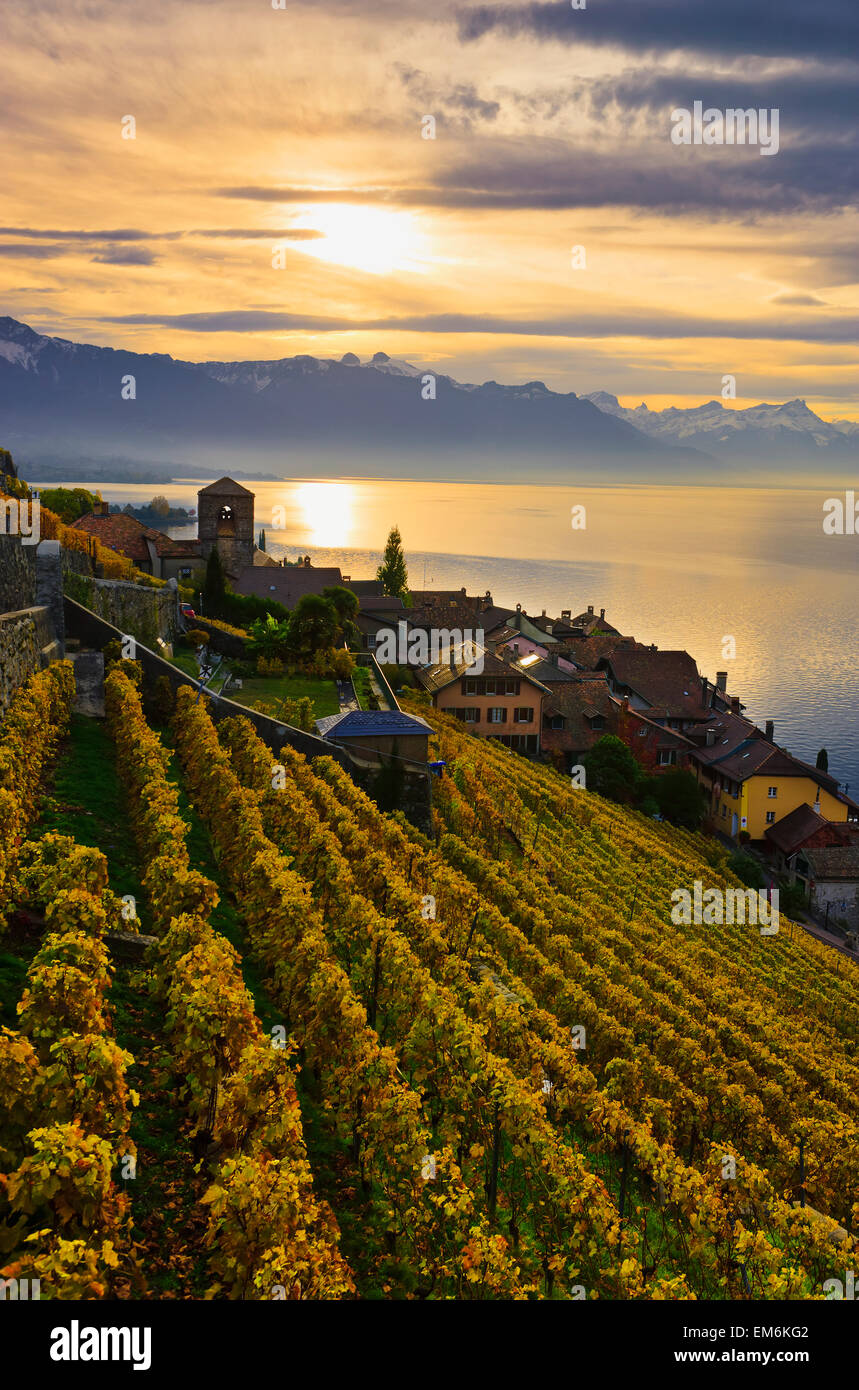 Switzerland, Lavaux Unesco World Heritage region, Vineyards; Saint ...